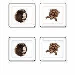 Pets Matching Cards | Heutink International